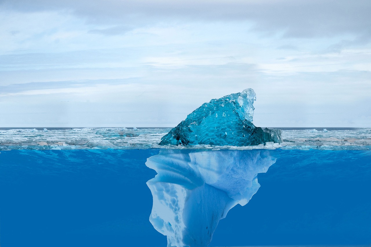Living With Tinnitus: The Iceberg Tip – Sudden Hearing Loss Support